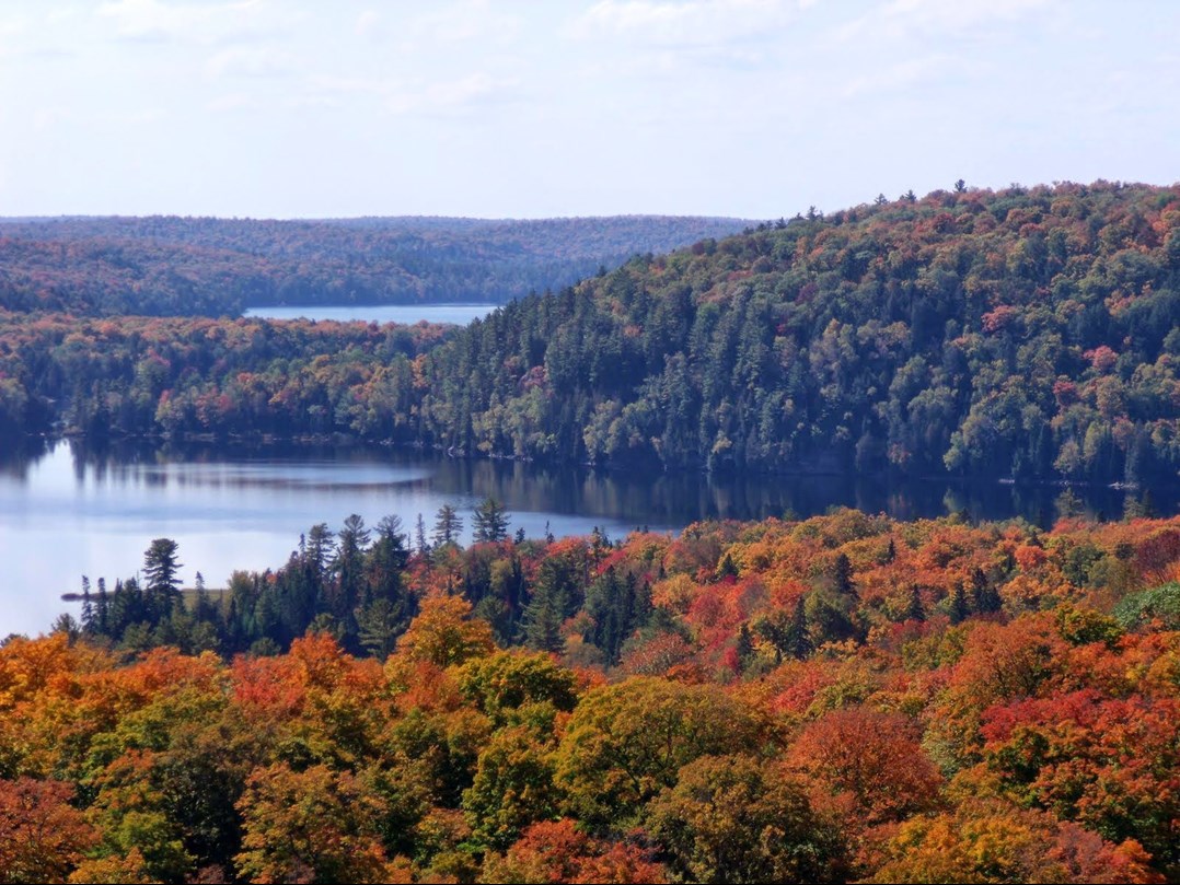 Interactive maps for Haliburton Forest visitors